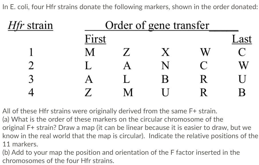 SOLVED: In E. coli, four Hfr strains donate the following markers ...