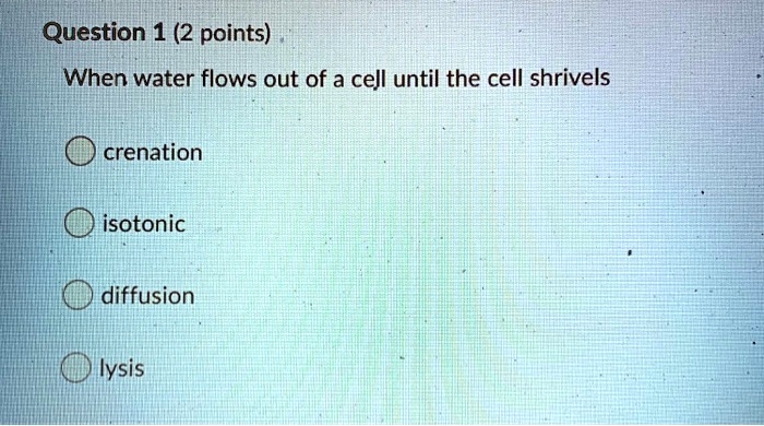 SOLVED: Question 1 (2 points) When water flows out of a cell until the ...