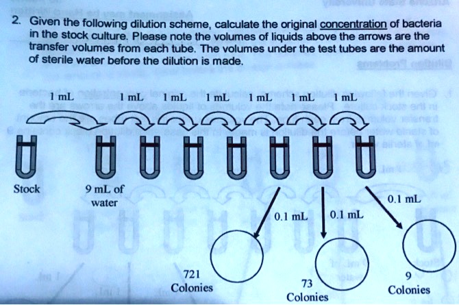 2 given the following dilution scheme calculate the original concentration of bacteria in the ...