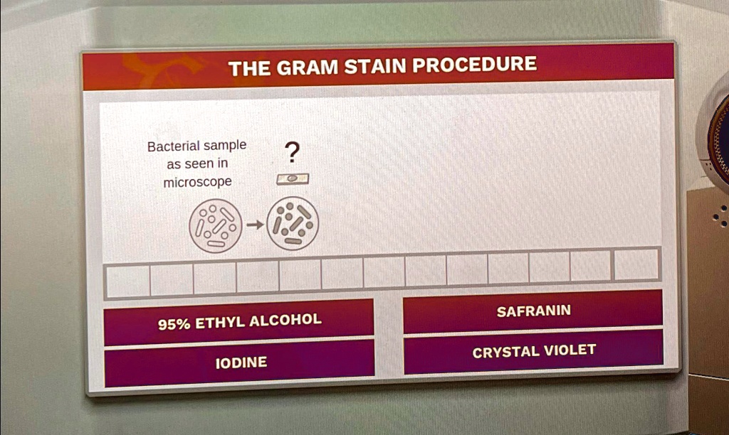 The Gram stain procedure 95% ethyl alcohol Safranin Iodine Crystal ...