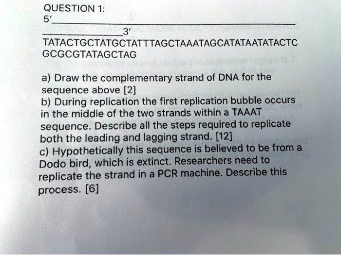 question 1 tatactgctatgctatttagctaaatagcatataatatactc gcgcgtatagctag a draw the complementary ...