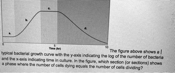 tlme v typical bacterial the figure above shows a growth curve with the ...