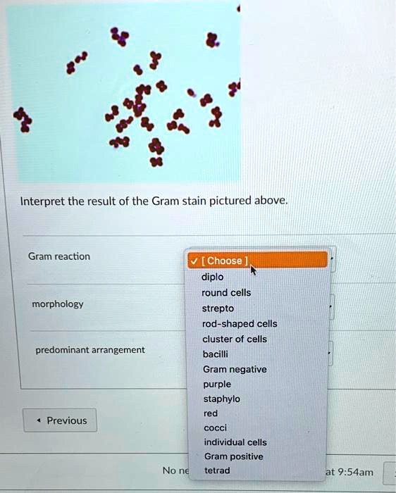 SOLVED: 8 Interpret the result of the Gram stain pictured above Gram ...