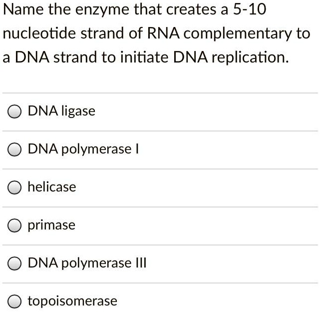 SOLVED: Name the enzyme that creates a 5-10 nucleotide strand of RNA ...
