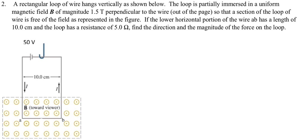 rectangular loop of wire hangs vertically as shown below the loop is partially immersed in a ...