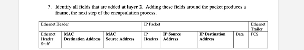identify all fields that are added at layer 2 adding these fields ...