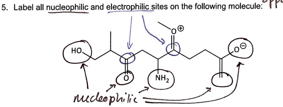 SOLVED: 'What makes the sites nucleophilic and electrophilic???