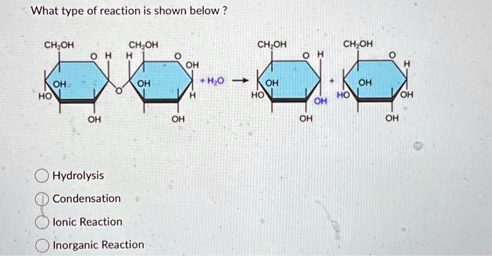 what type of reaction is shown below ch2oh ho oh oh hydrolysis ...