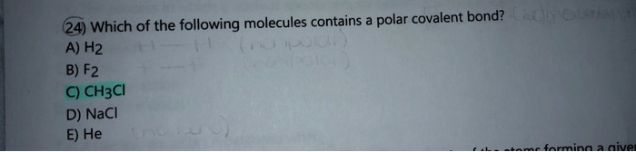 SOLVED: Which of the following molecules contains a polar covalent bond? A) H2 B) F2 C) CH3Cl D ...