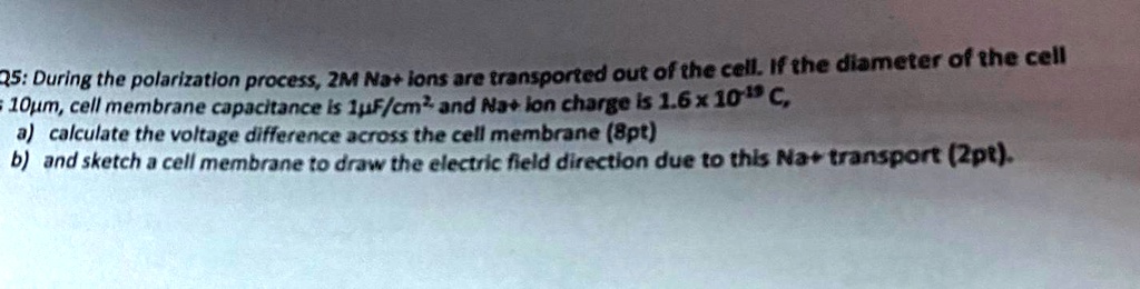 SOLVED: Q5: During the polarization process, 2M Na+ ions are transported out of the cell. If the ...