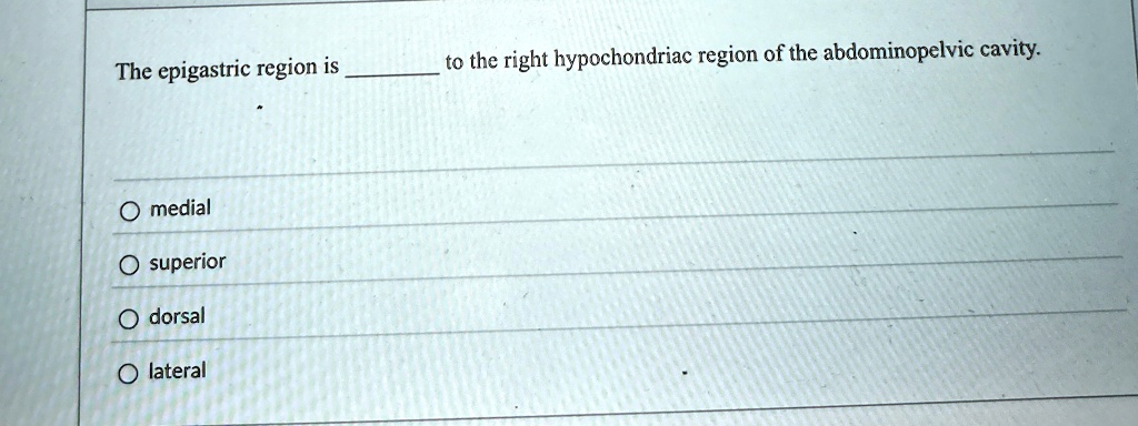 The epigastric region is to the right hypochondriac region of the ...