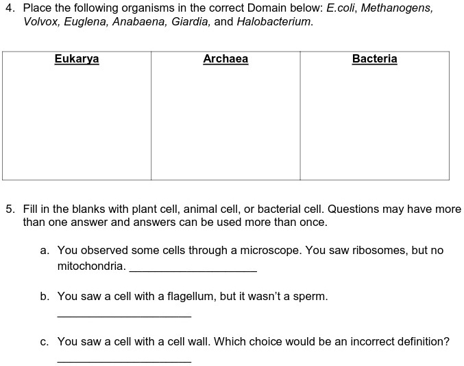 "Place the following organisms in the correct Domain below: Ecoli ...