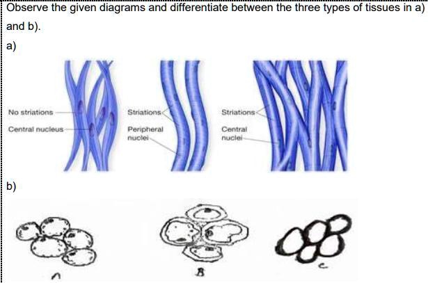 Observe the given diagrams and differentiate between the three types of ...