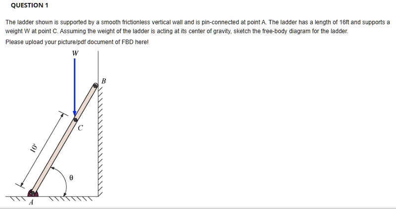 QUESTION 1 The ladder shown is supported by a smooth frictionless ...