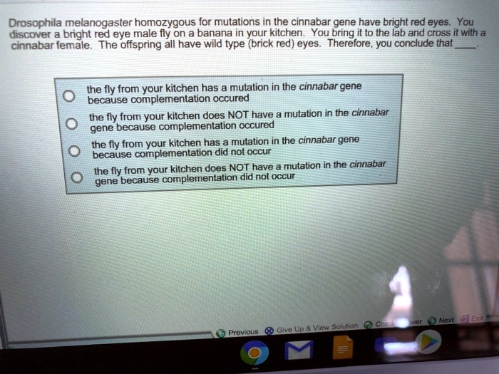 SOLVED: Drosophila melanogaster homozygous for mutations in Ihe ...