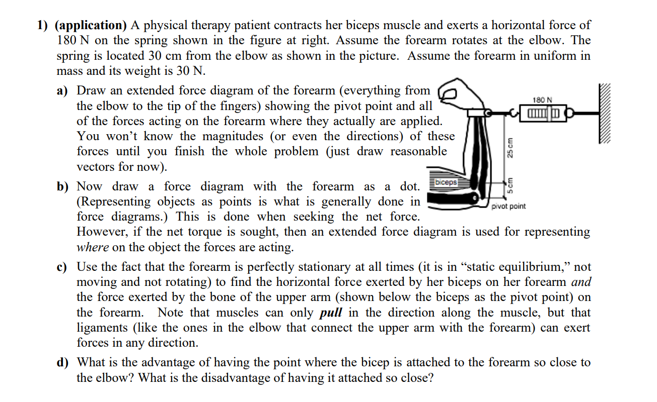 1) (application) A physical therapy patient contracts her biceps muscle ...