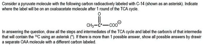 SOLVED: Draw all the steps and intermediates of the citric acid cycle ...