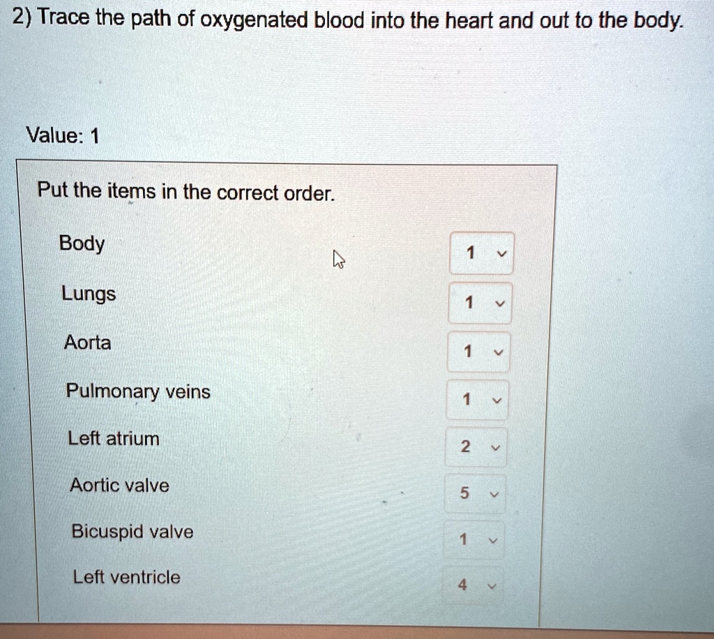 2 trace the path of oxygenated blood into the heart and out to the body ...