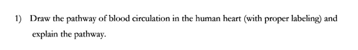 1) Draw the pathway of blood circulation in the human heart (with ...