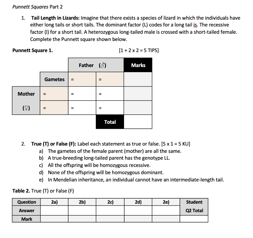 SOLVED: Punnett Squares Part 2 Tail Length in Lizards: Imagine that ...