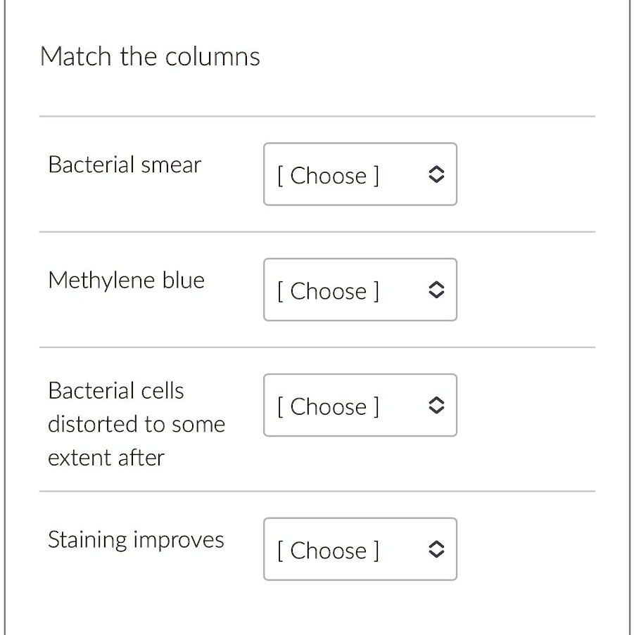 match the columns bacterial smear methylene blue bacterial cells ...