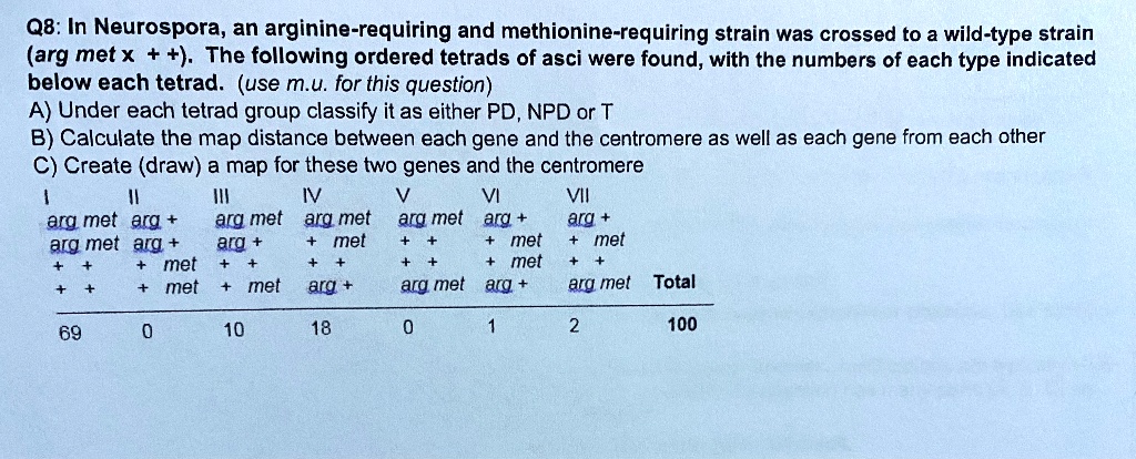 SOLVED: Q8: In Neurospora, an arginine-requiring and methionine ...