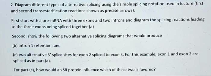 SOLVED: 2. Diagram different types of alternative splicing using the simple splicing notation ...