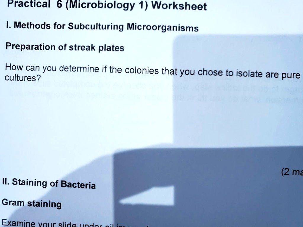 Practical 6 (Microbiology 1) Worksheet I. Methods for Subculturing ...
