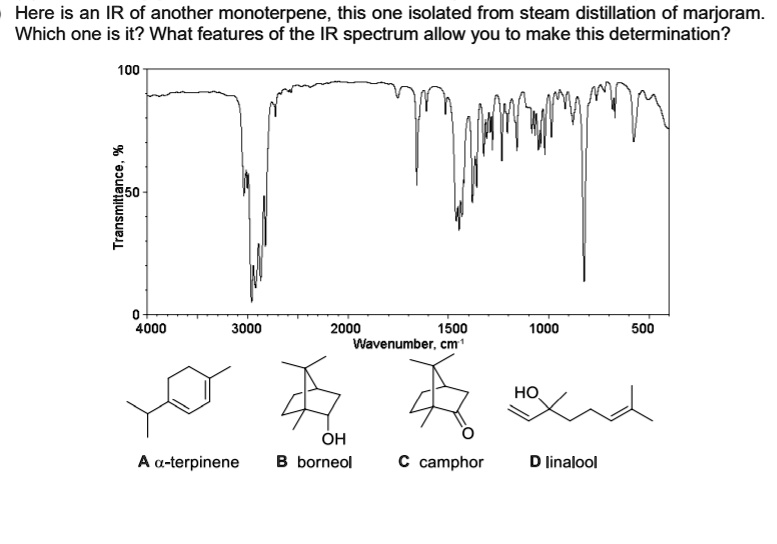 Here is an IR of another monoterpene, this one isolated from steam ...