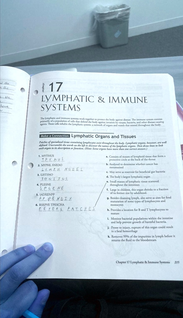 SOLVED: 17 LYMPHATIC IMMUNE SYSTEMS The lymphatic and immune systems ...