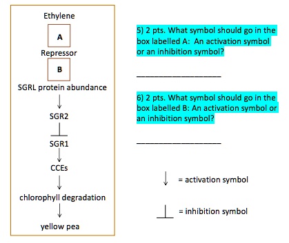 SOLVED: Ethylene pts. What symbol should go in the box labelled A: An ...