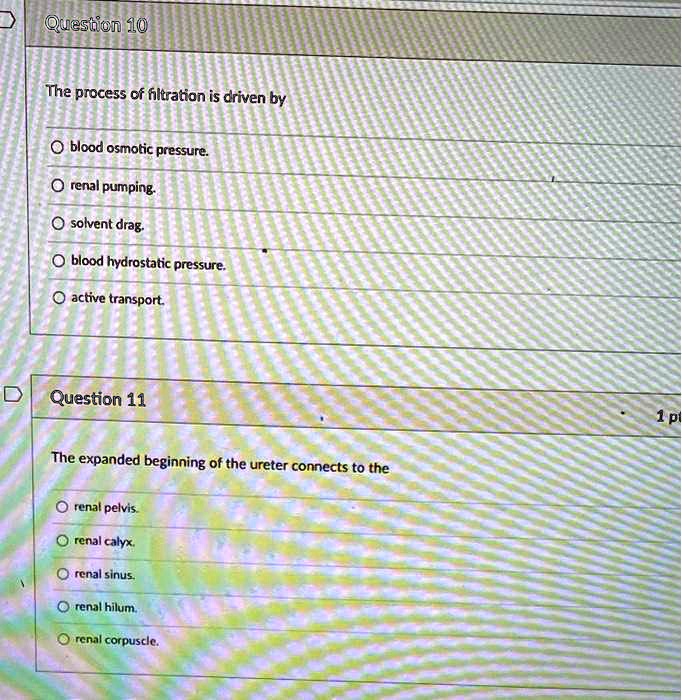 Question 10 The process of filtration is driven by Oblood osmotic ...