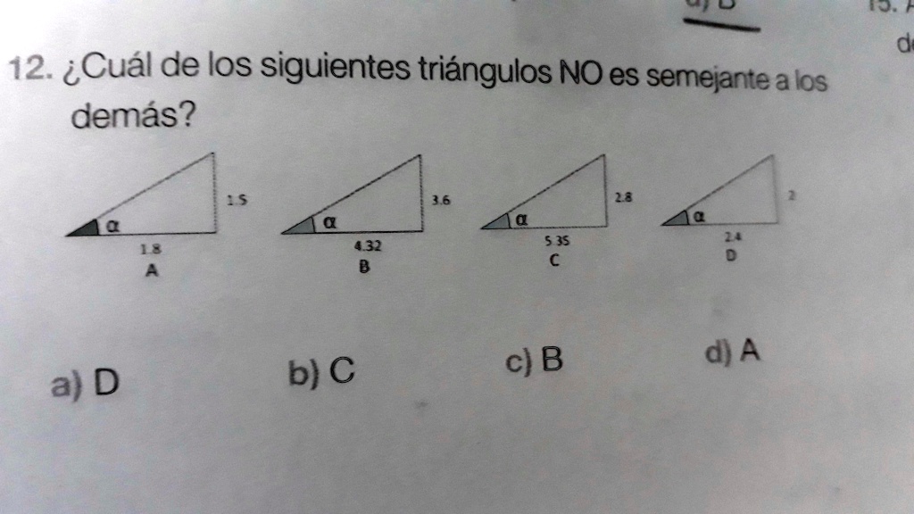 Solved ¿cuál De Los Siguientes Triángulos No Es Semejante A Los Demás