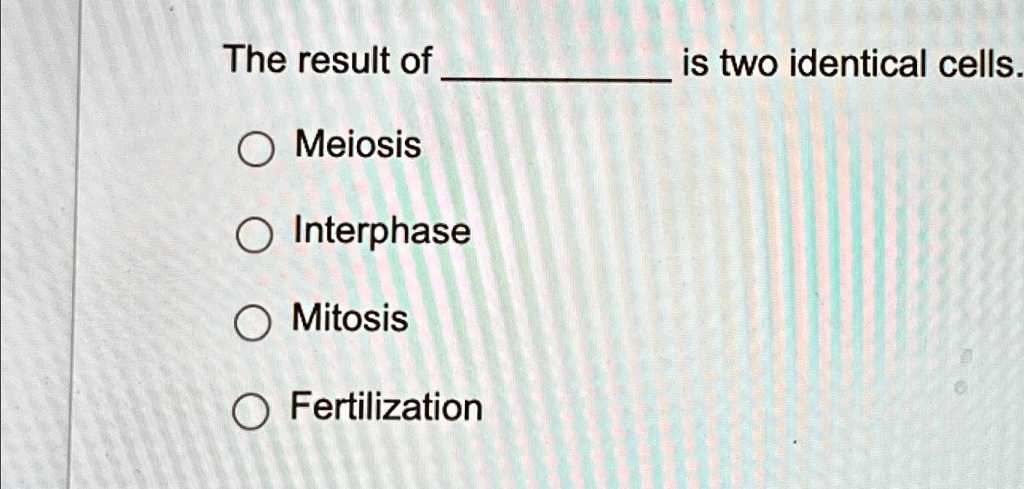 The result of is two identical cells. ? Meiosis ? Interphase ? Mitosis ...