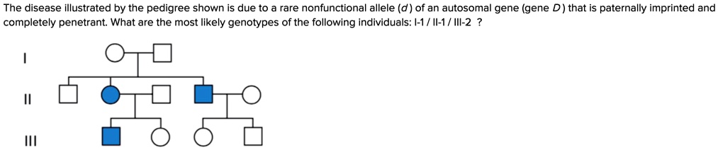 SOLVED: The disease illustrated by the pedigree shown is due to a rare ...
