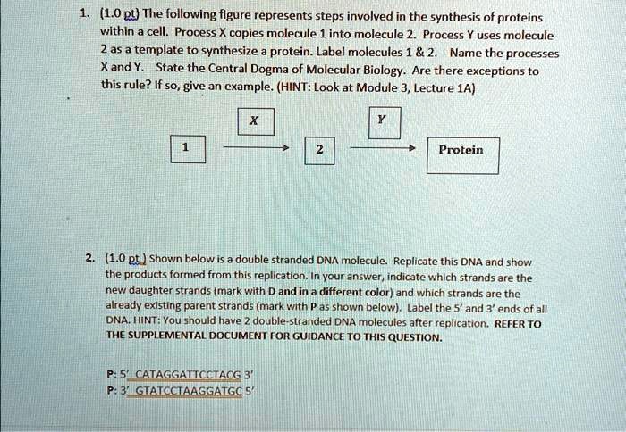 SOLVED: help with question 1 2 please 1.1.0 pt) The following figure ...