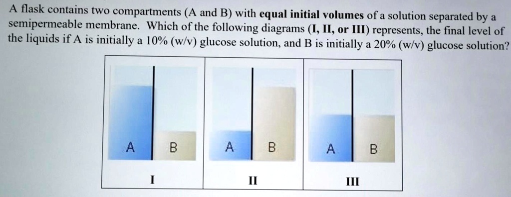 SOLVED: A flask contains two compartments A and B) with equal initial volumes of a solution ...