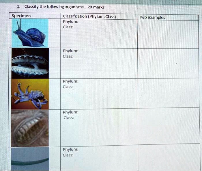 SOLVED: Classify the following organisms 20 marks Specimen Classification (Phylum Class) Phylum ...