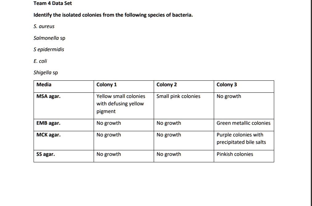 SOLVED: Team 4 Data Set Identify the isolated colonies from the ...