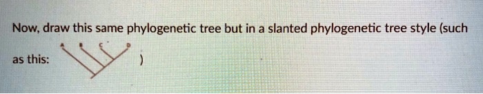 SOLVED: Now: draw this same phylogenetic tree but in a slanted phylogenetic tree style (such as ...