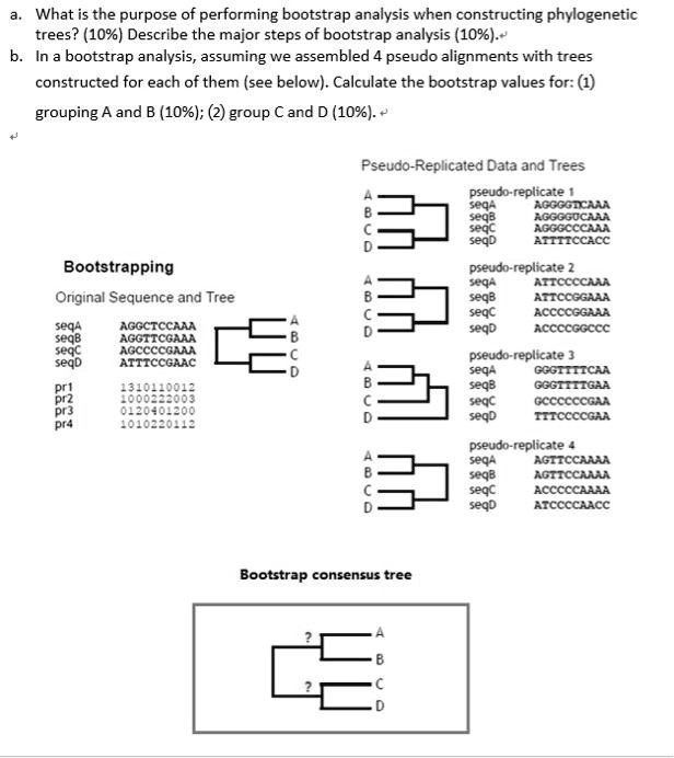 SOLVED: What is the purpose of performing bootstrap analysis when constructing phylogenetic ...