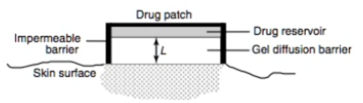 SOLVED: One of the first drug delivery systems was the skin patch ...