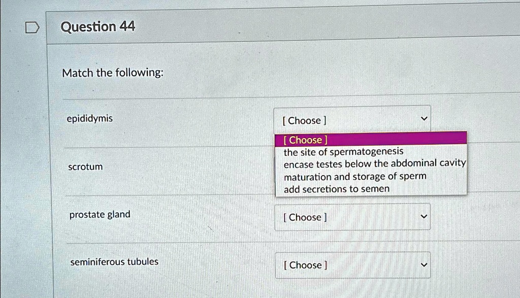Question 44 Match the following: epididymis scrotum prostate gland ...