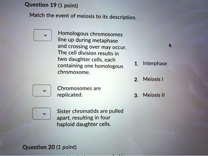SOLVED: Question 19 (1 point) Match the event of meiosis to its description. Homologous ...