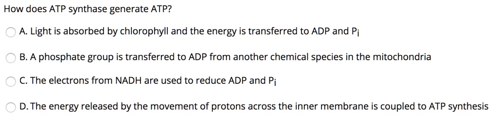 SOLVED: How does ATP synthase generate ATP? A. Light is absorbed by chlorophyll and the energy ...