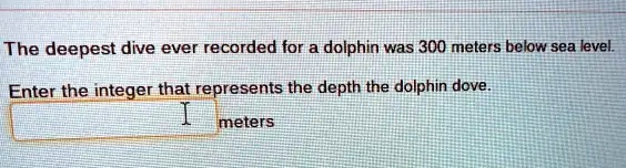 the deepest dive ever recorded for a dolphin was 300 meters below sea ...