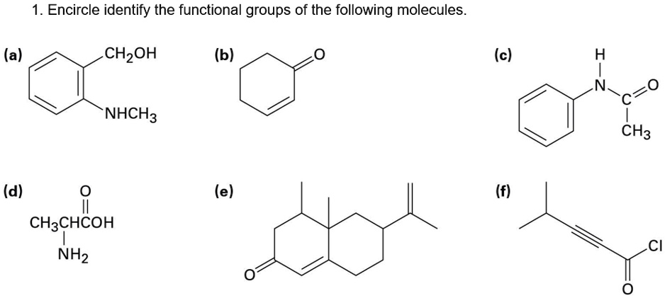 1 encircle identify the functional groups of the following molecules a chzoh b c ch3 d ch3chcoh ...