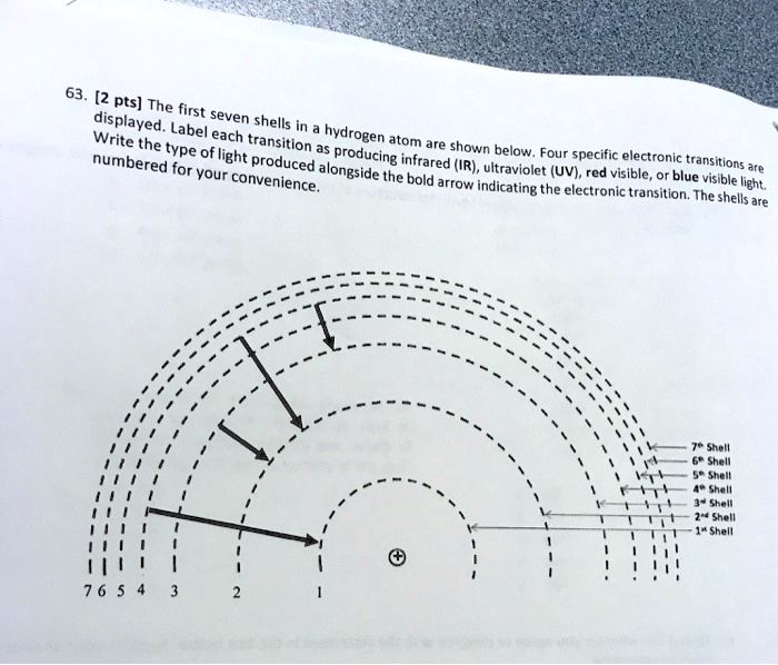 SOLVED: [2 pts] The - first - displayed: seven Label = shells in Write ...