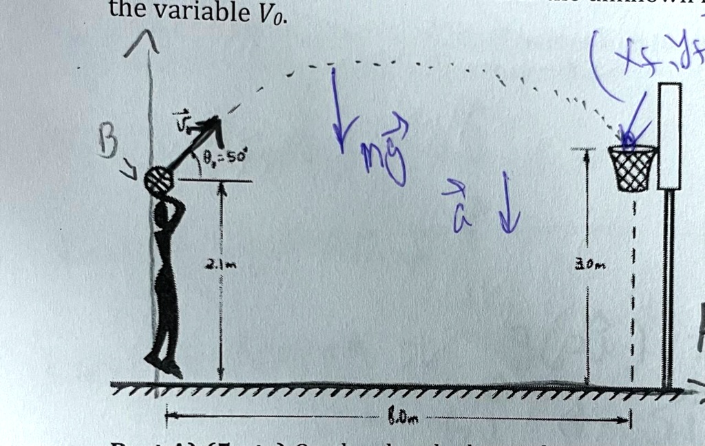 SOLVED: A basketball player shoots a jump shot, releasing the ball at ...