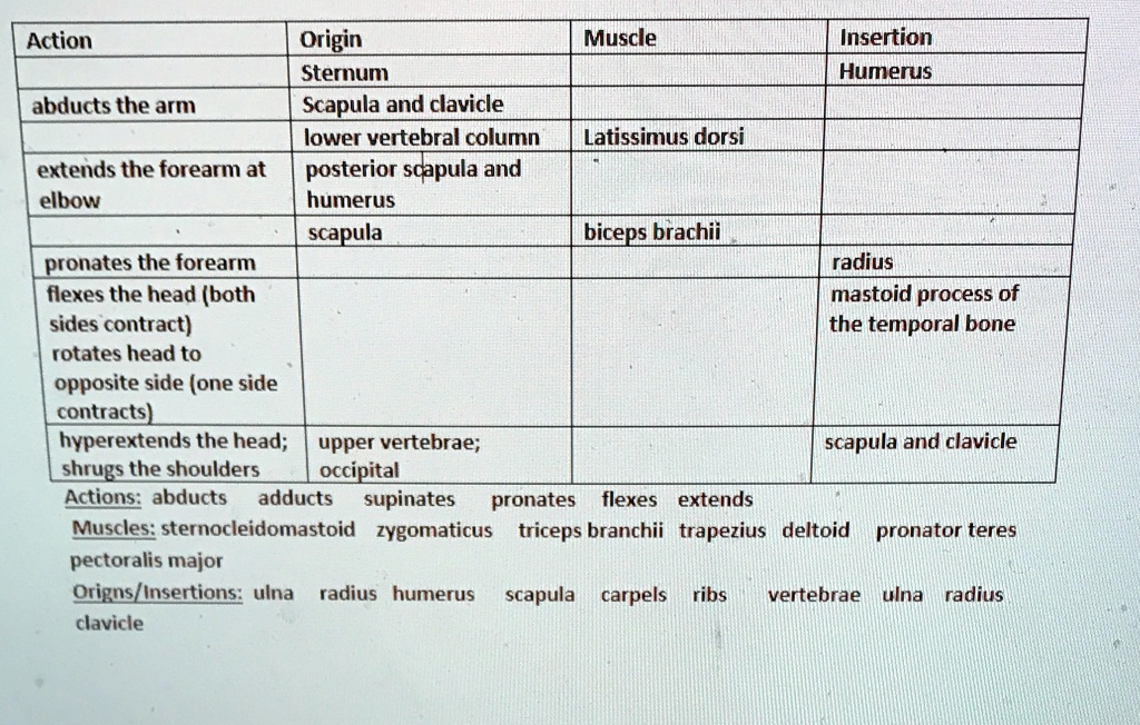 SOLVED: Action Origin Muscle Insertion Sternum Humerus abducts the arm ...